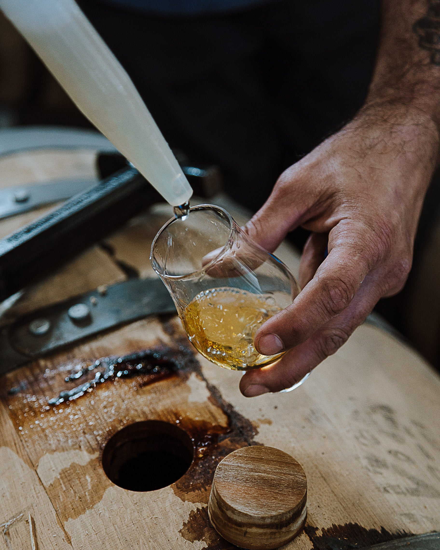 Bluecoat Barrel-Finished Gin – Bluecoat Bottle Shop by Philadelphia ...